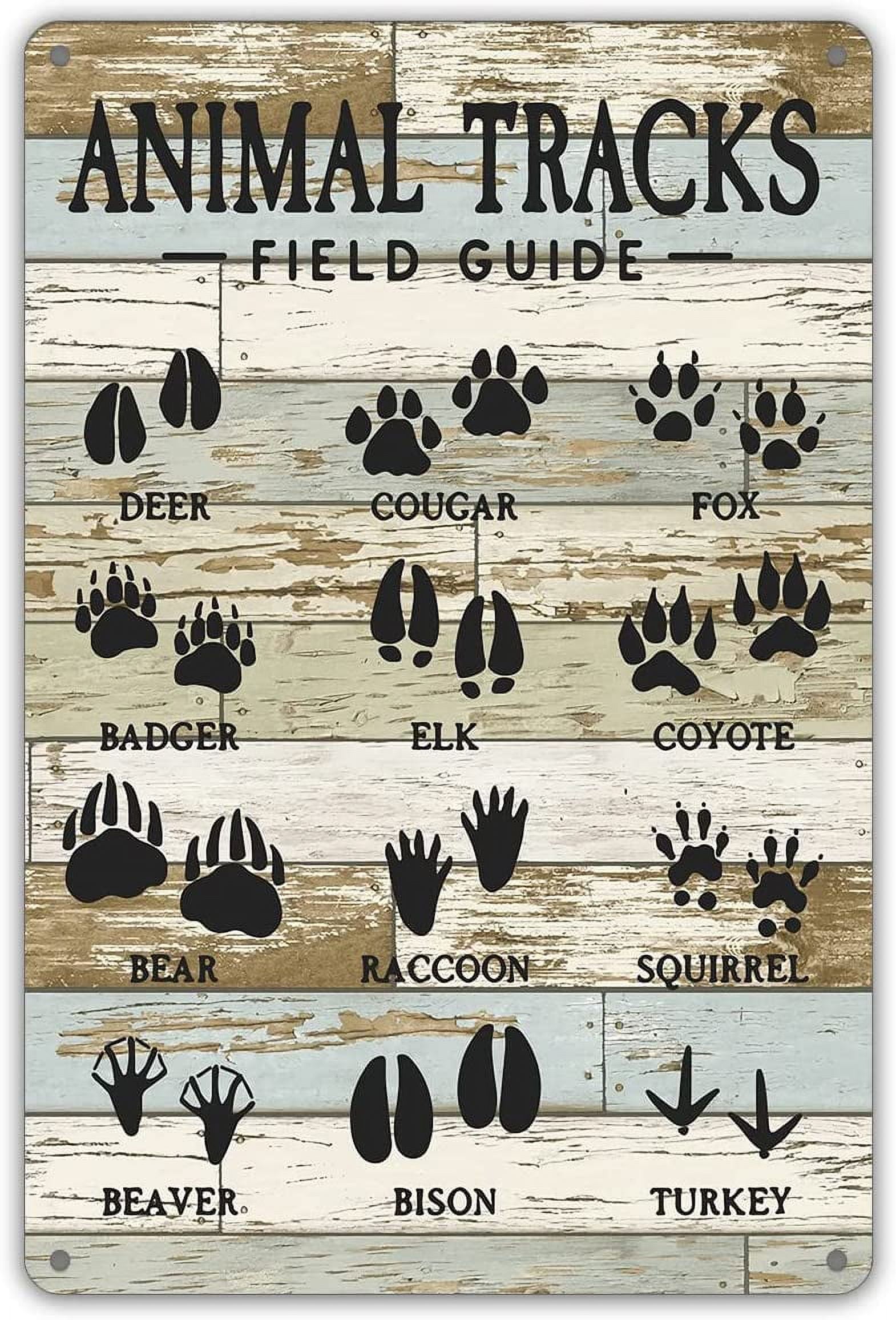 Animal Tracks Field Guide Rustic Educational Nursery for Home Nursery ...