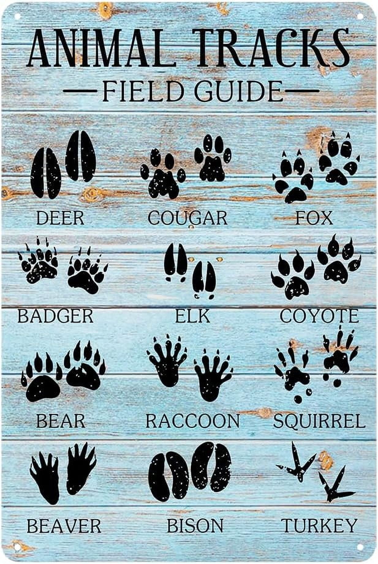 Animal Tracks Field Guide Sign Log Cabin Wall Decor - Walmart.com