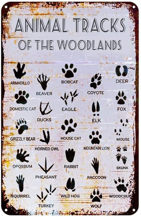 Animal Tracks Field Guide Sign Nursery Rustic Animal Tracks Country ...