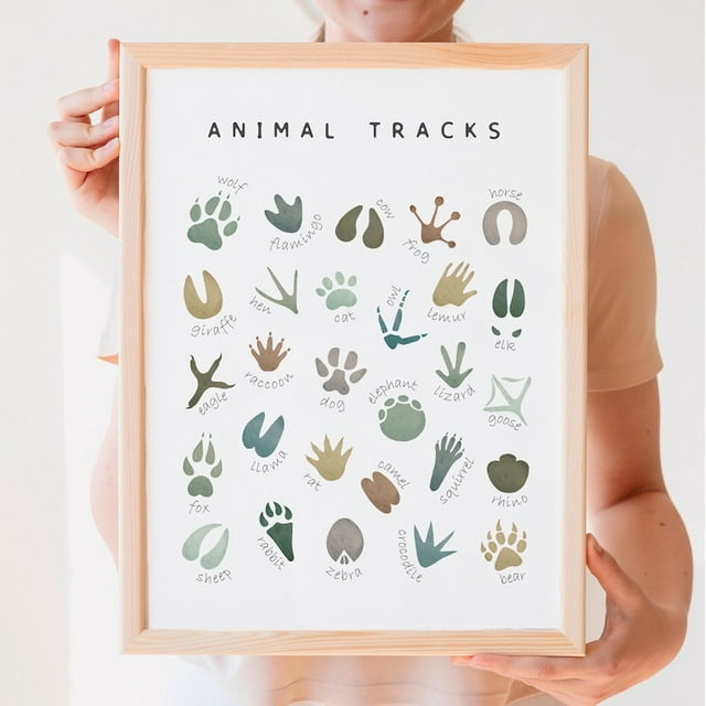 Animal Tracks Poster, Earth Tones Nursery Wall Decor, Playroom Poster ...