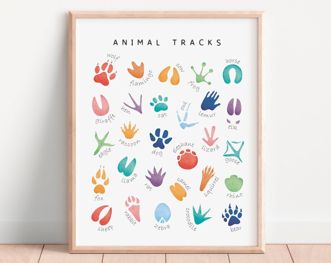 Animal Tracks Poster, Rainbow Nursery Wall Decor, Playroom Poster ...