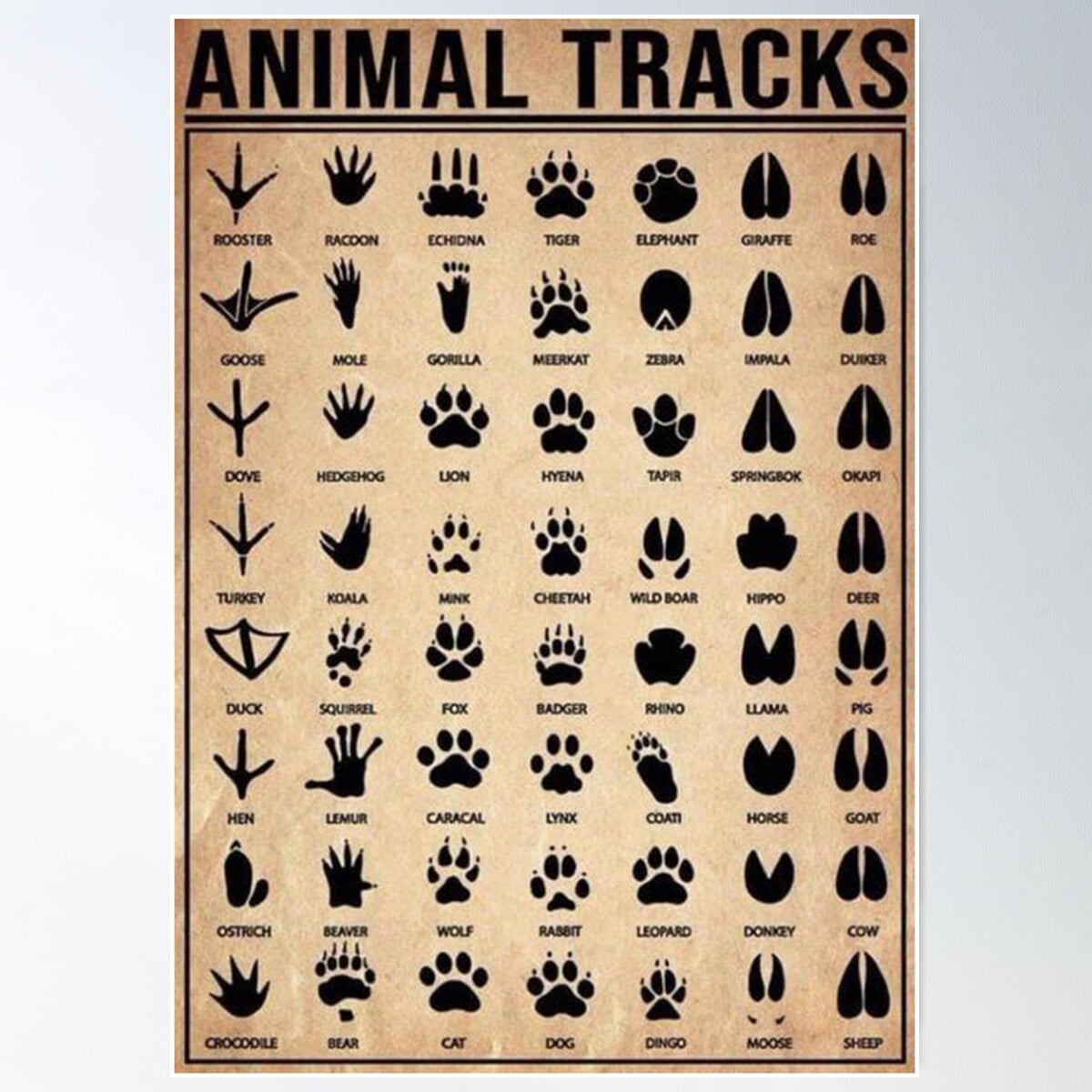 Animal Tracks Poster Wall Art, Modern Wall Decor For Living Room ...