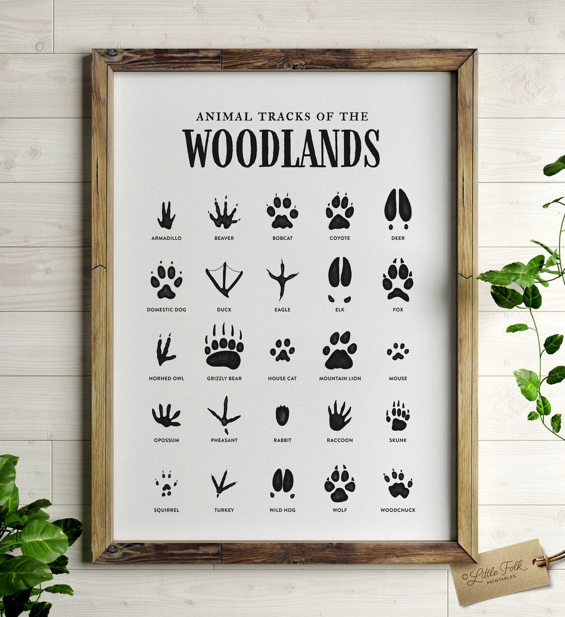 Animal Tracks Poster Woodland Nursery Decorboys Room Decor 2 Poster ...