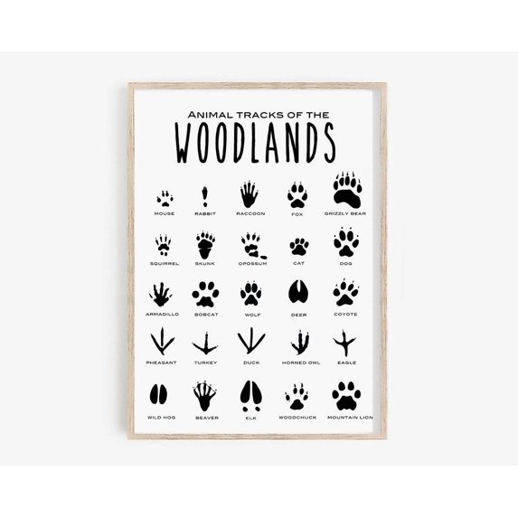 Animal Tracks Print Animal Tracks Of The Woodland Poster Animal Tracks ...