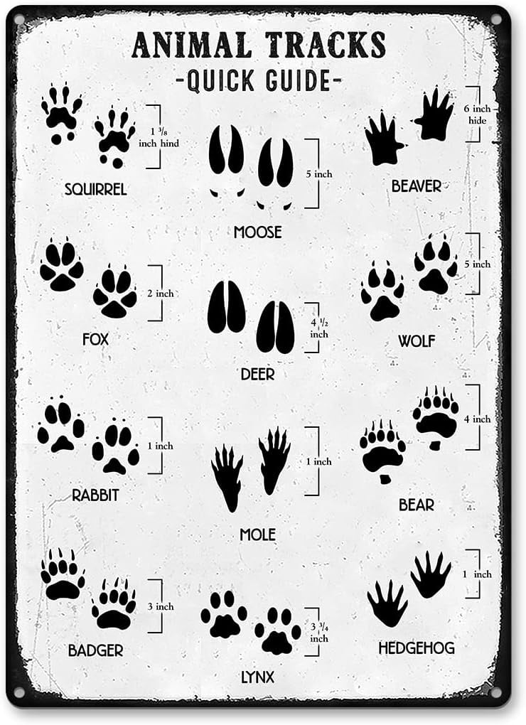 Animal Tracks Quick Guide Sign - Rustic Cabin Wall, Farmhouse, Hunting ...