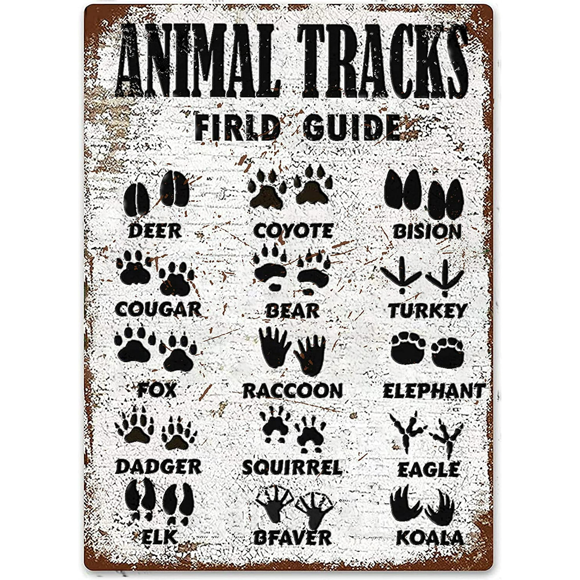 Printable Squirrel Track