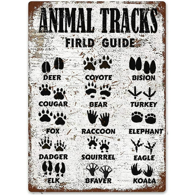 Animal Tracks Signs Woodland Nursery Decor Field Guide Metal Tin Sign ...