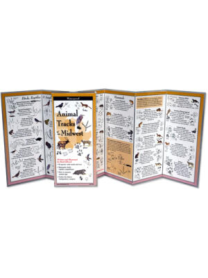 Animal Tracks of the Midwest - Walmart.com