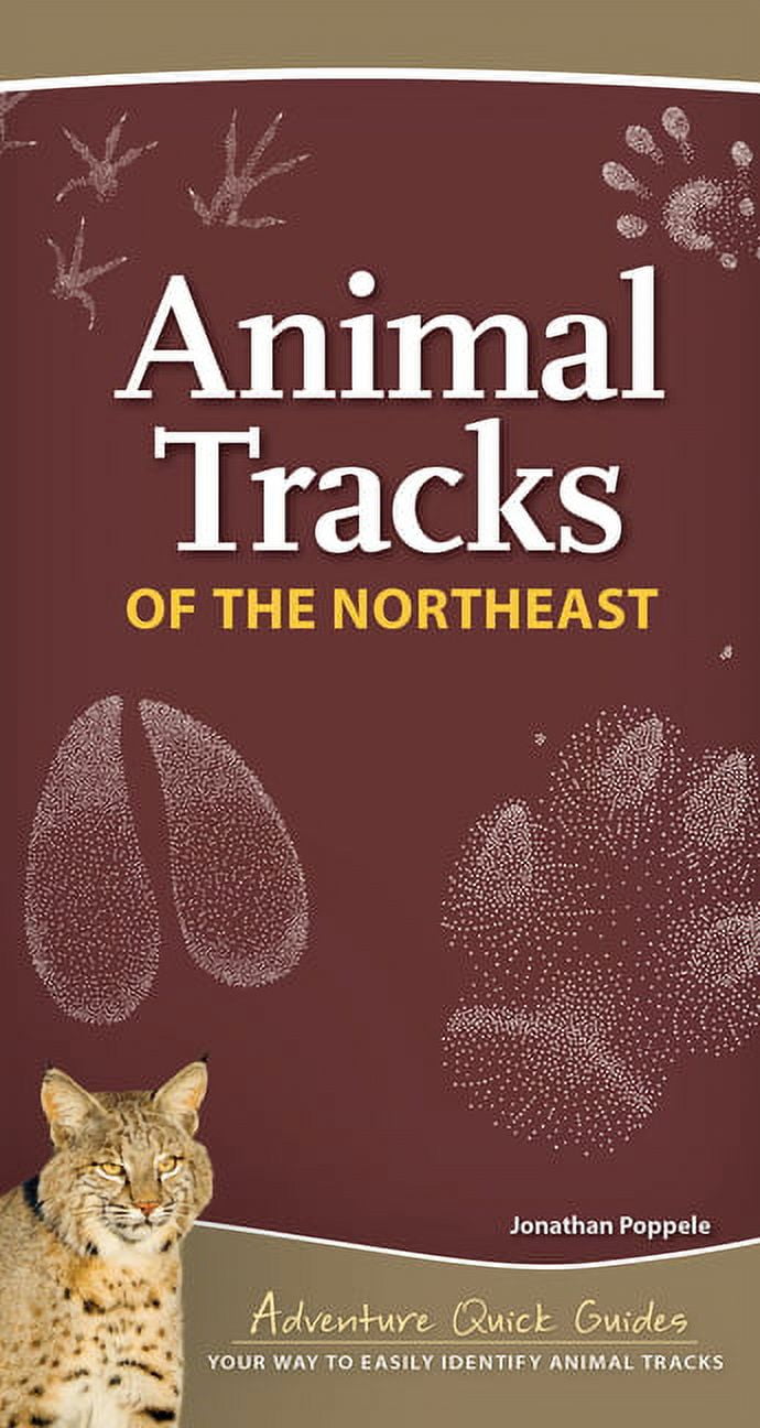 Animal Tracks of the Northeast: Your Way to Easily Identify Animal ...