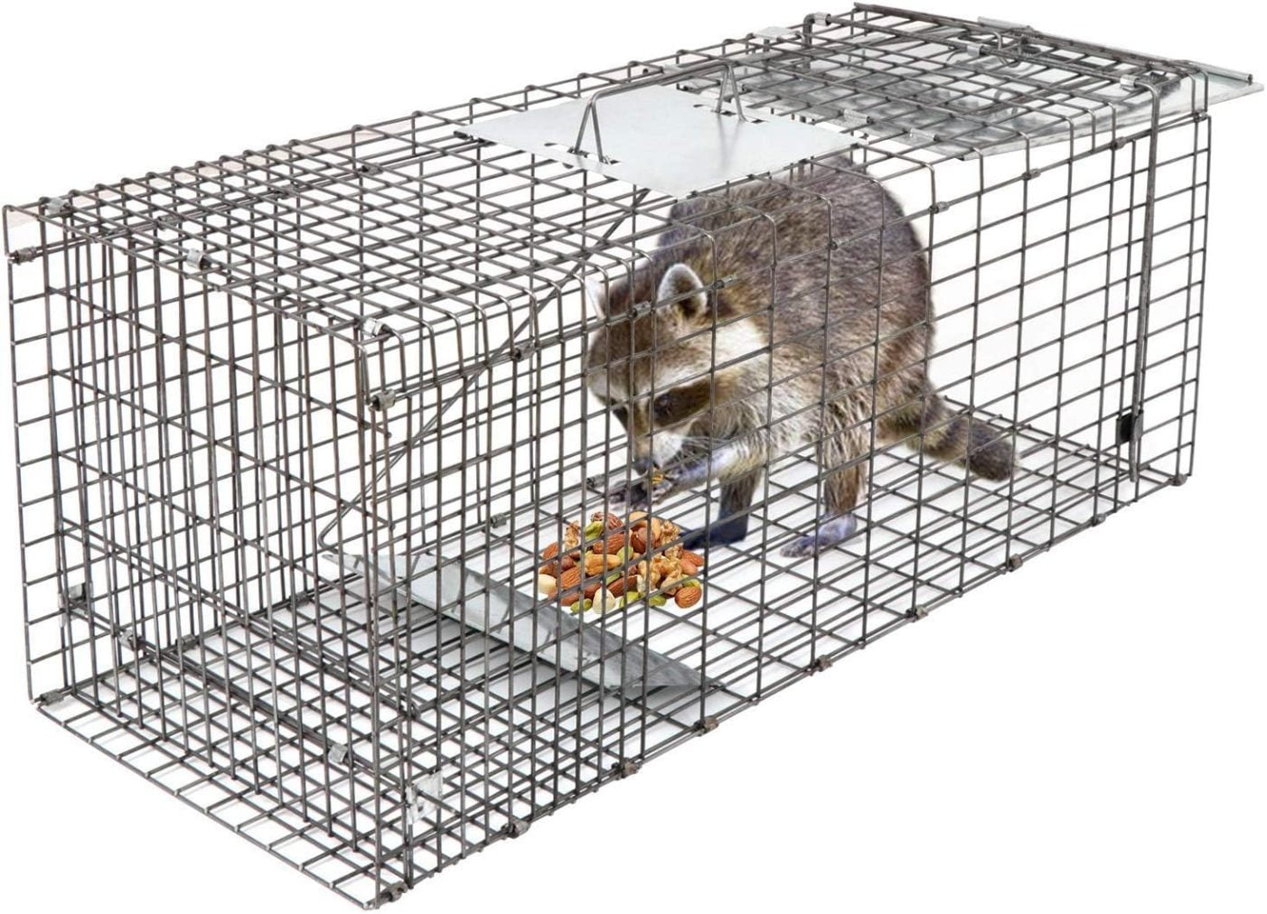 Animal Trap Cage,32'' Foldable Live Catch Cage with 1-Iron Door,Catch ...