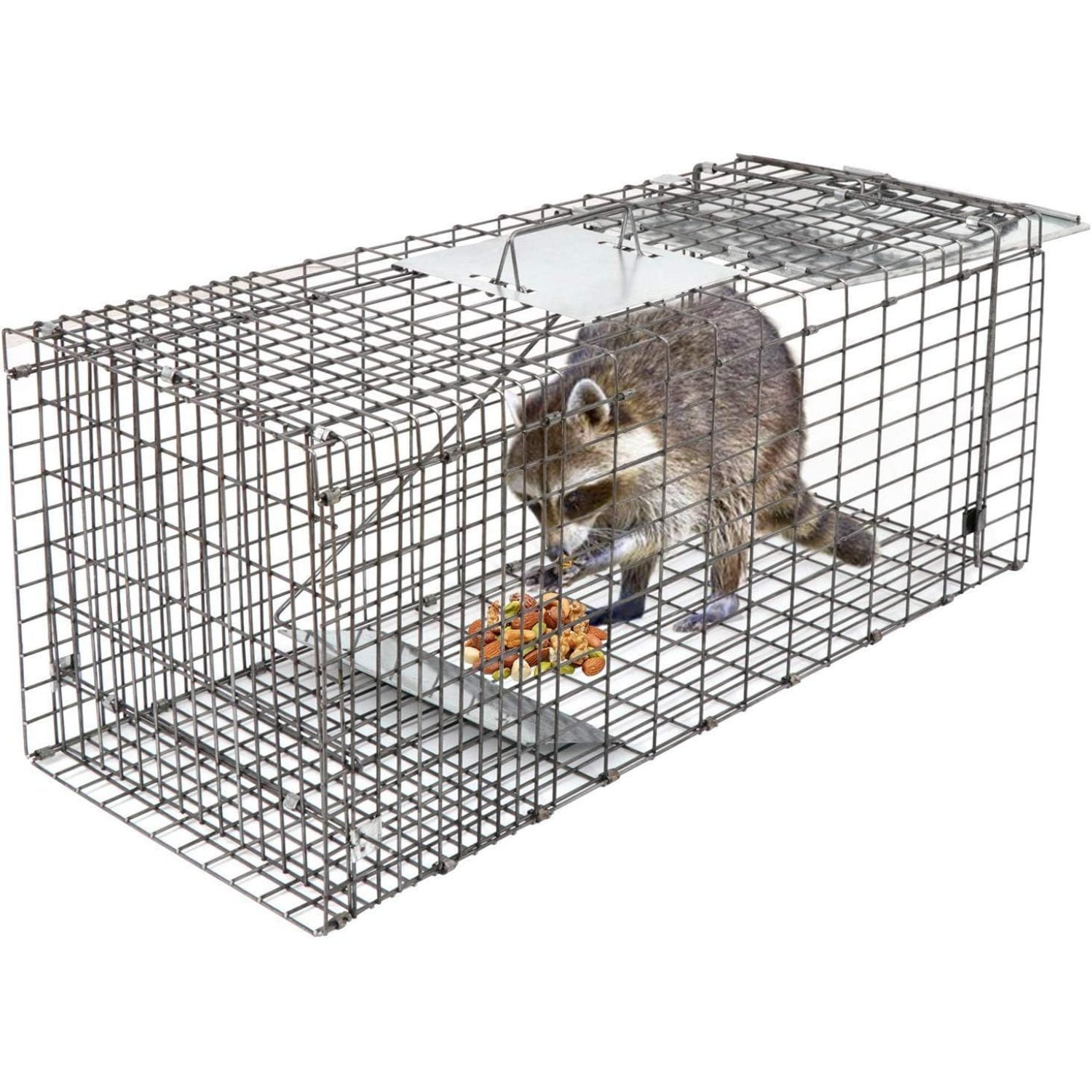 Animal Trap Cage,32'' Foldable Live Catch Cage with 1-Iron Door,Catch ...