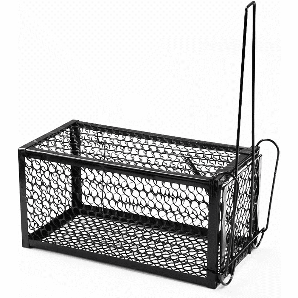 Animal Traps - Humane Rodent Cage , Groundhog, Squirrel - Walmart.com