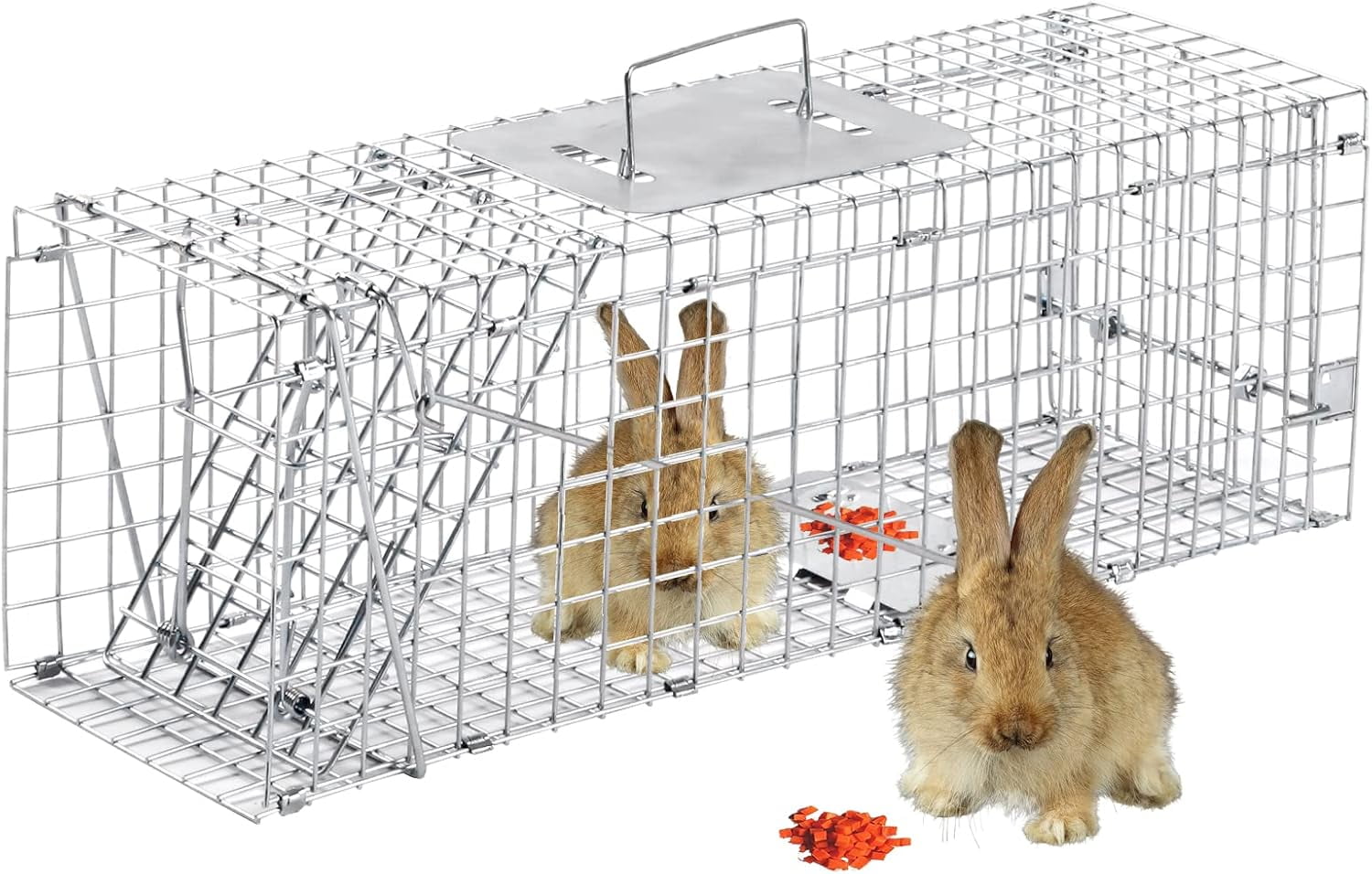 Animal Traps,Live Animal Trap for Cats,Rabbits, Squirrels,cat Trap for ...