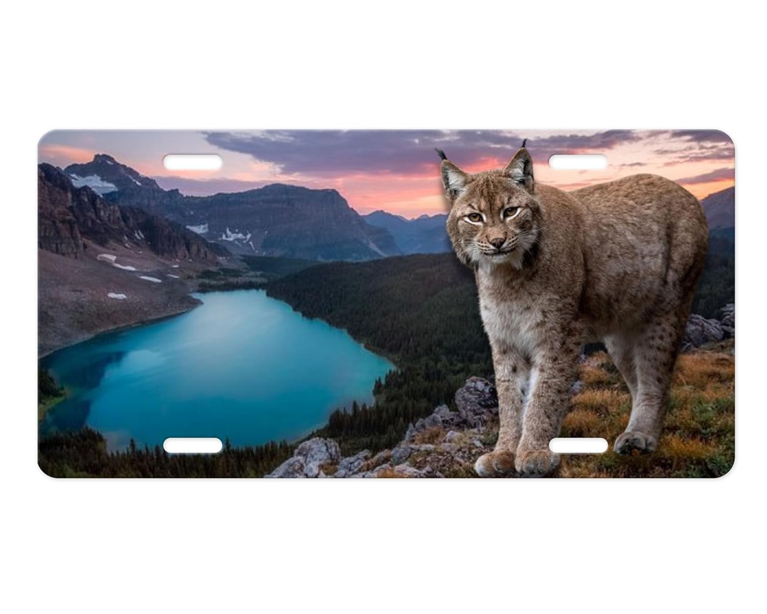 Animal Vanity Decorative Aluminum Front License Plate, Car Accessory ...
