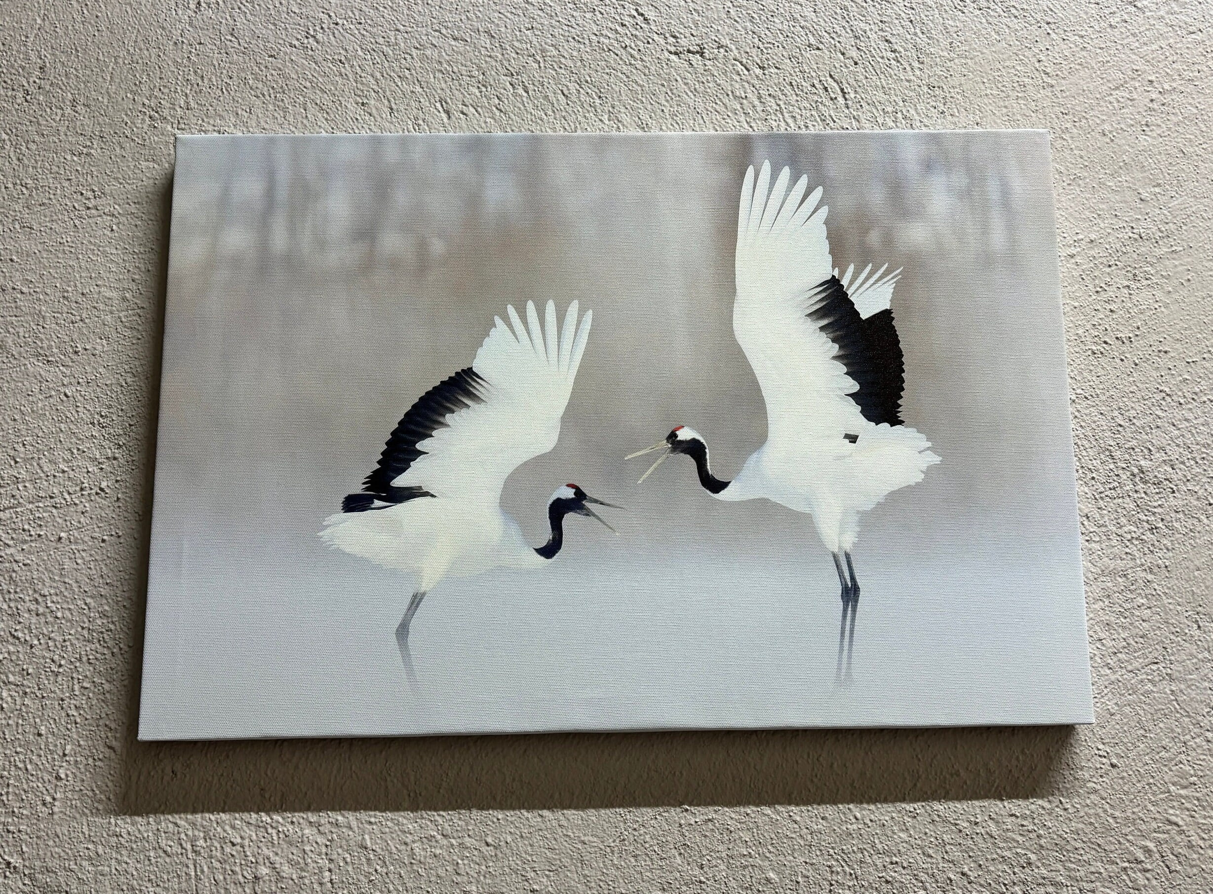 Animal Wall Art, Dancing Cranes Canvas, Wild Animal Wall Decor, Dancing ...