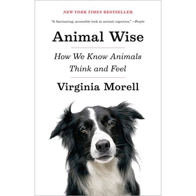 Pre-Owned Animal Wise: How We Know Animals Think and Feel (Paperback ...