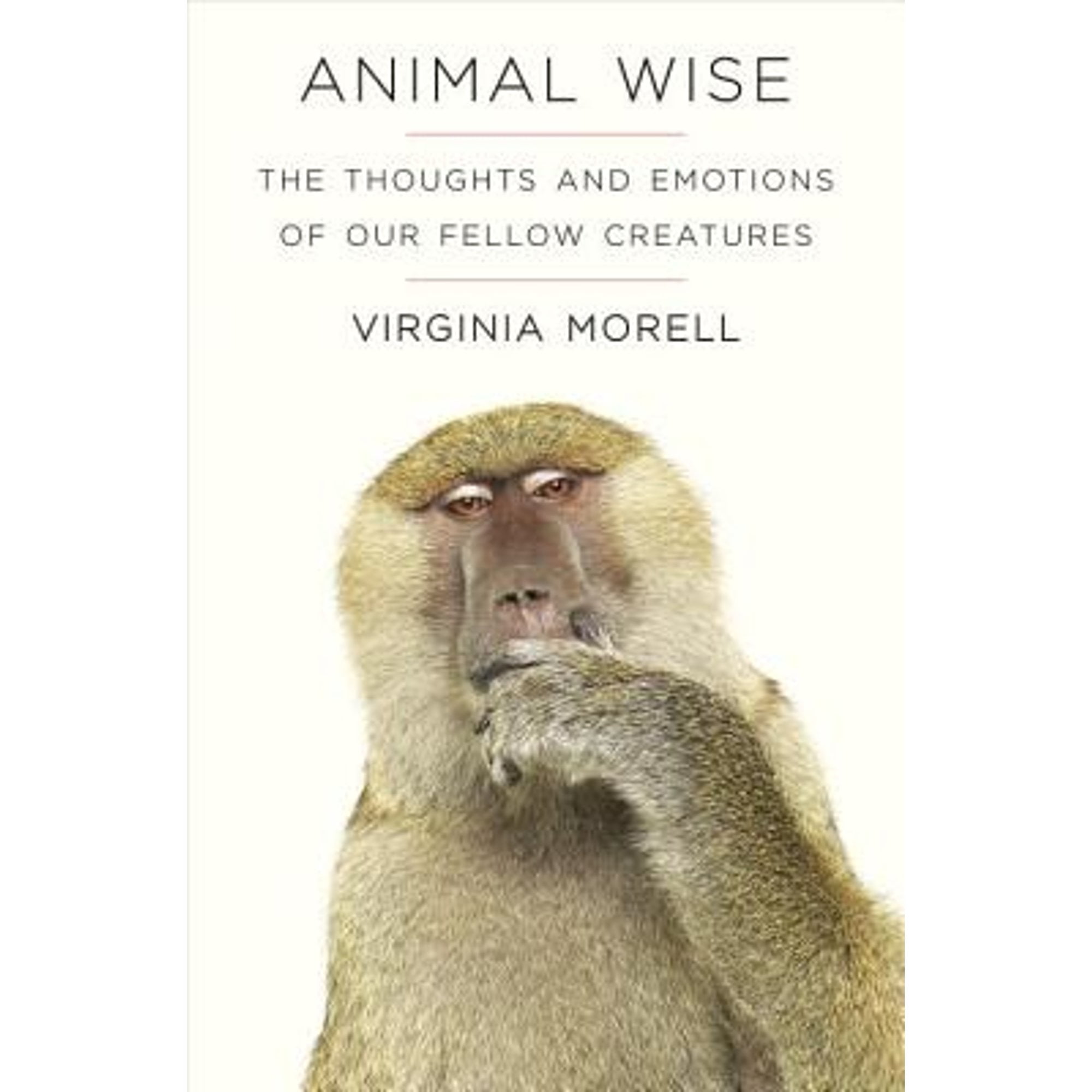 Pre-Owned Animal Wise: The Thoughts and Emotions of Our Fellow ...