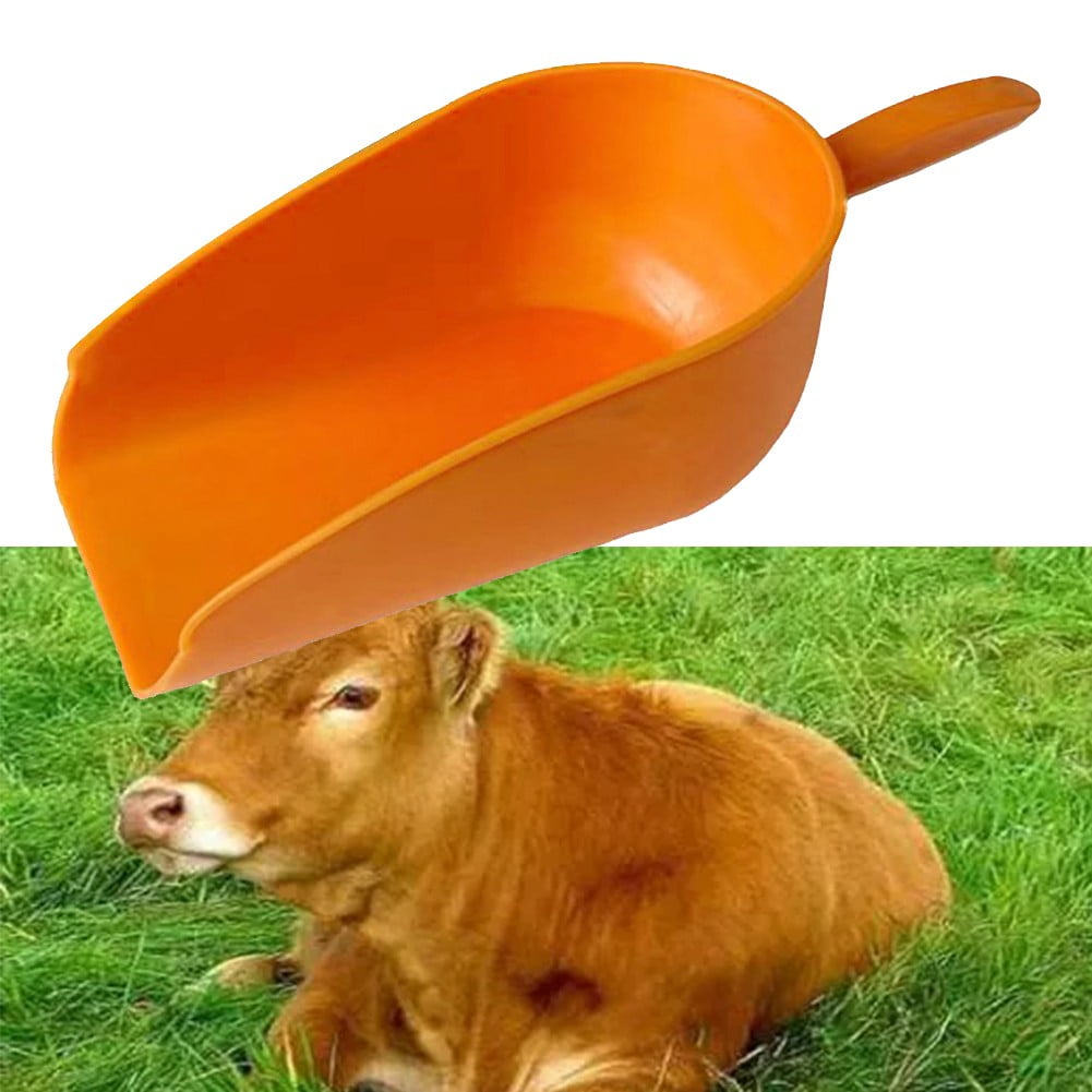 Animal feed shovel Farm food shovel Camping shovel Gardening shovel ...