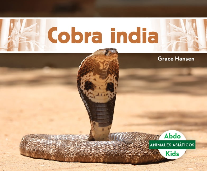Animales Asiбticos (Asian Animals) Cobra India (Indian Cobra ...