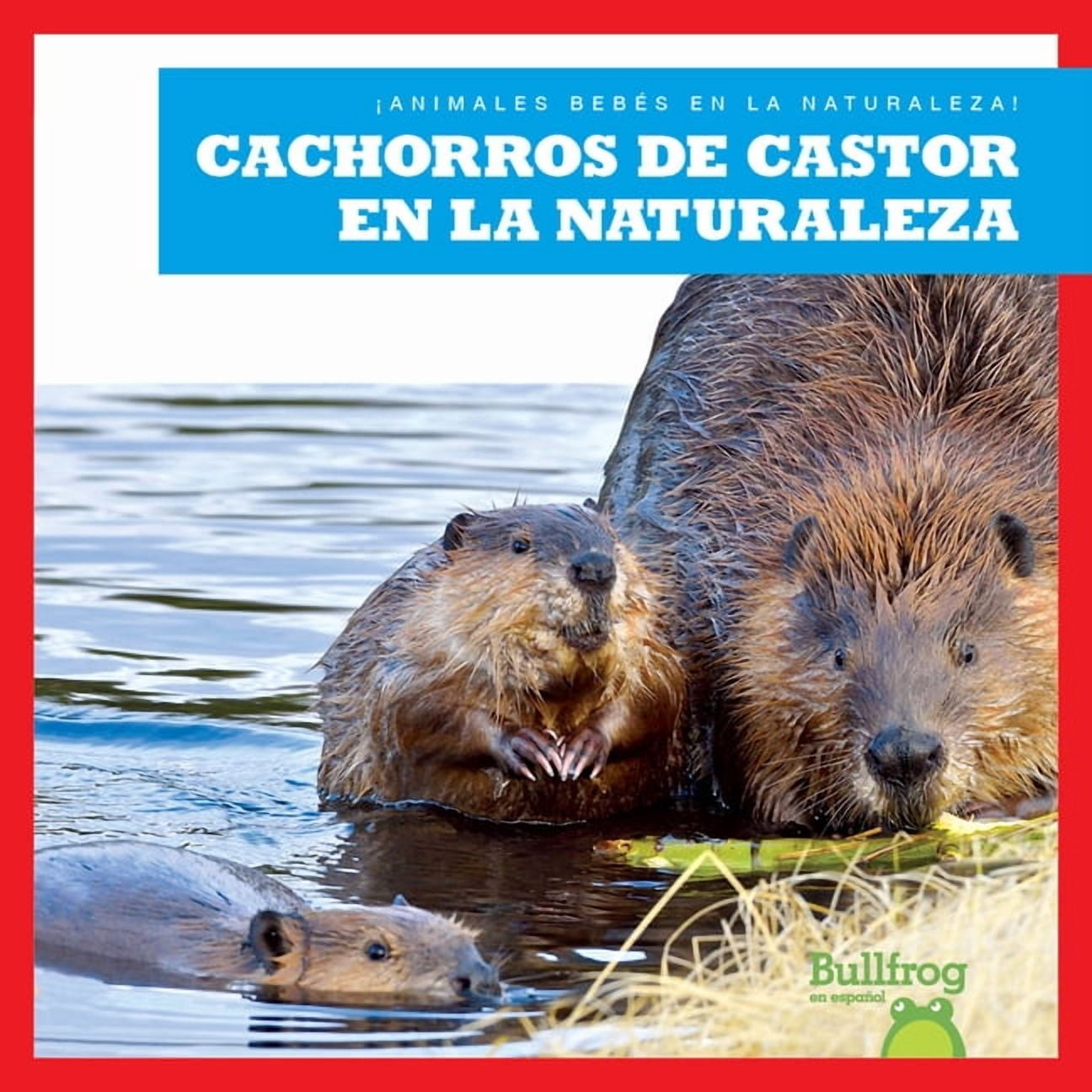 Â¡Animales BebÃ©s En La Naturaleza! (Baby Cachorros de Castor En La ...