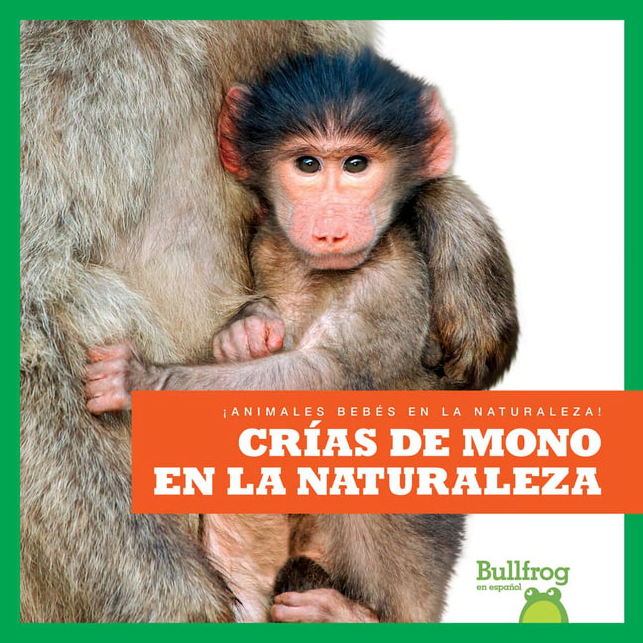 Â¡Animales BebÃ©s En La Naturaleza! (Baby CrÃ­as de Mono En La ...