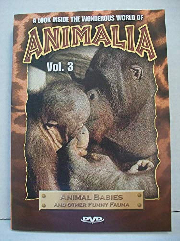 Animalia Vol. 3 [Dvd] - Walmart.com