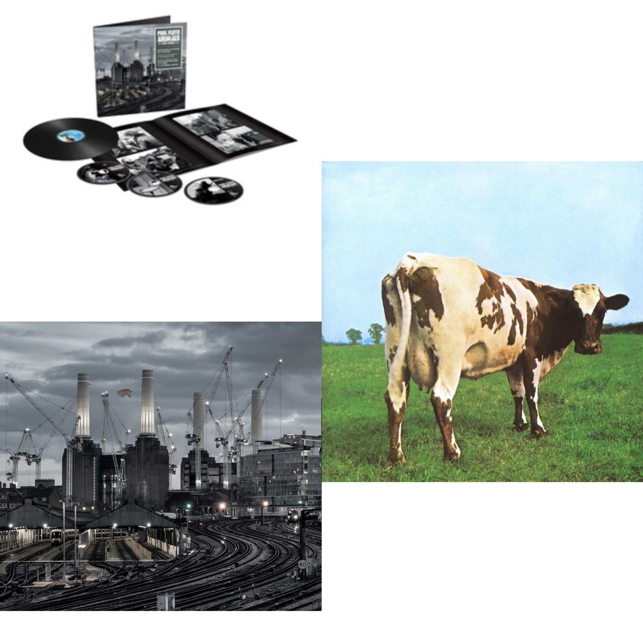 Animals (2018 Remix) (LP/CD/DVD/Blu-Ray/180G) & Animals (2018 Remix ...