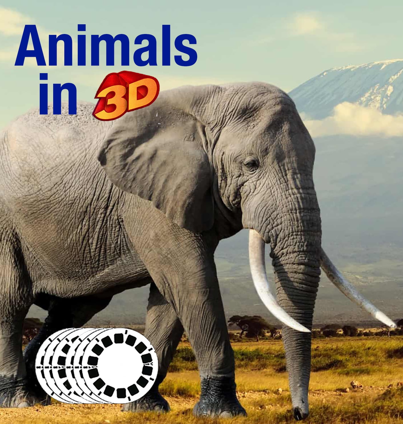 Animals in 3D - 6 Vintage Reels - Strange Animals South America-Asia ...