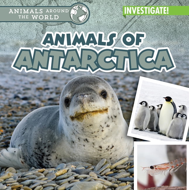 Animals Around the World Animals of Antarctica, (Paperback) - Walmart.com