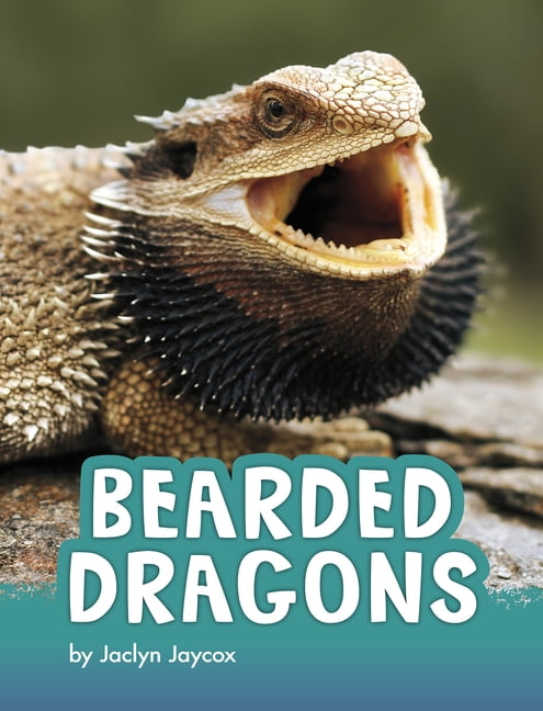 Animals Bearded Dragons, (Paperback) - Walmart.com