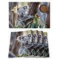 Animals Cute Koala Cotton Linen Placemats Set of 6, Brown Tree Green ...