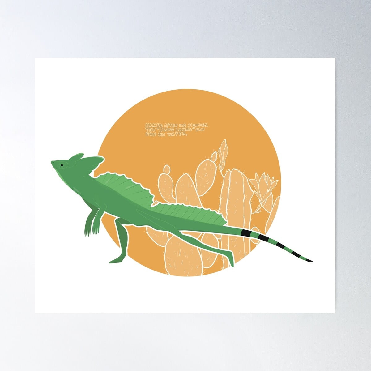 Animals Fun Facts Lizard Poster Wall Art, Modern Wall Decor For Living ...