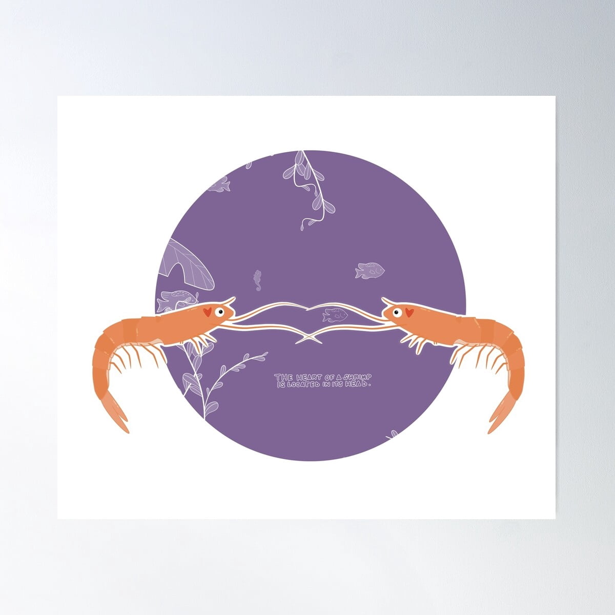 Animals Fun Facts Shrimp Poster Wall Art, Modern Wall Decor For Living ...