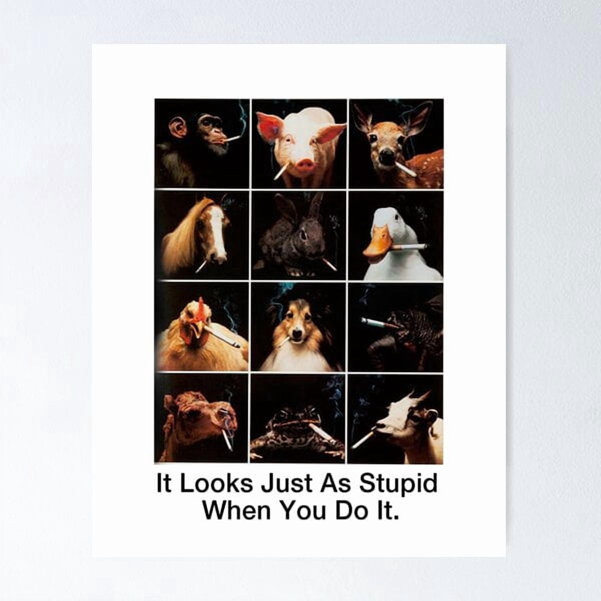 Animals Health Awareness Illustration Poster, Poster Home Decor ...