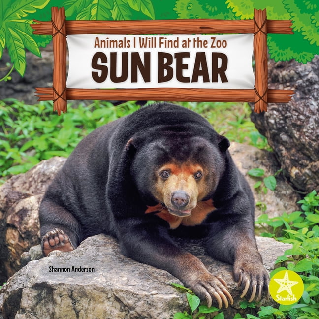 Animals I Will Find at the Zoo: Sun Bear (Hardcover) - Walmart.com