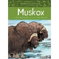 Animals Illustrated: Animals Illustrated: Muskox (Hardcover) - Walmart.com