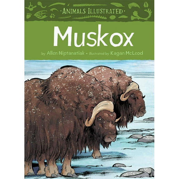 Animals Illustrated: Animals Illustrated: Muskox (Hardcover) - Walmart.com