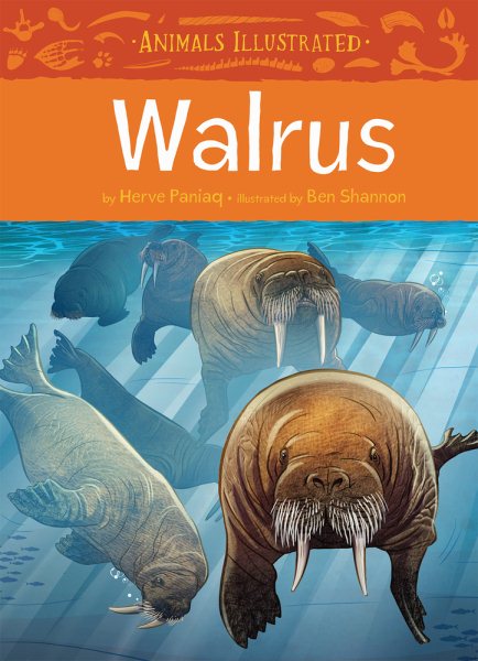 Animals Illustrated: Animals Illustrated: Walrus (Hardcover) - Walmart.com