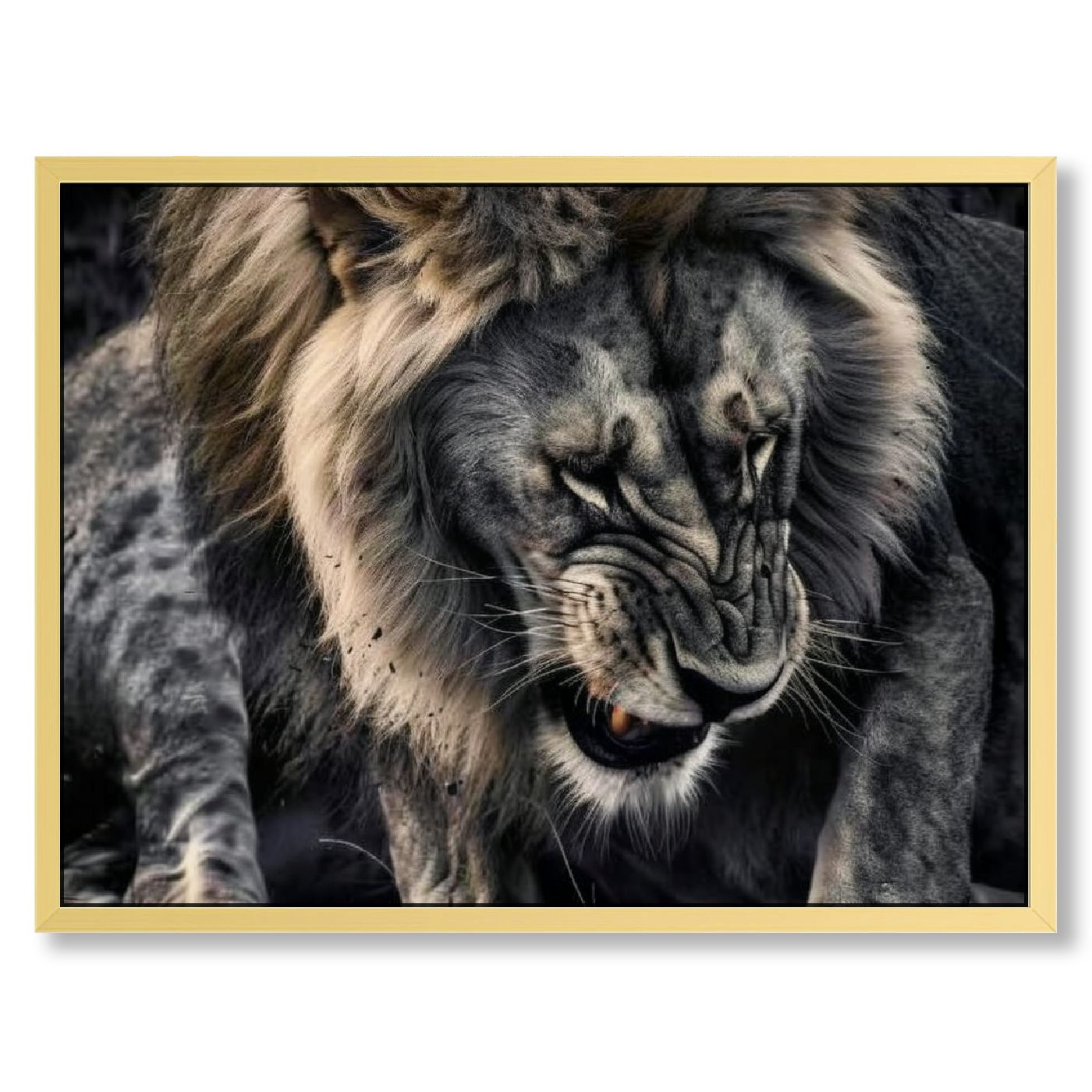 Animals Like Lions and Lionesses Wild Animals Black and White Poster ...