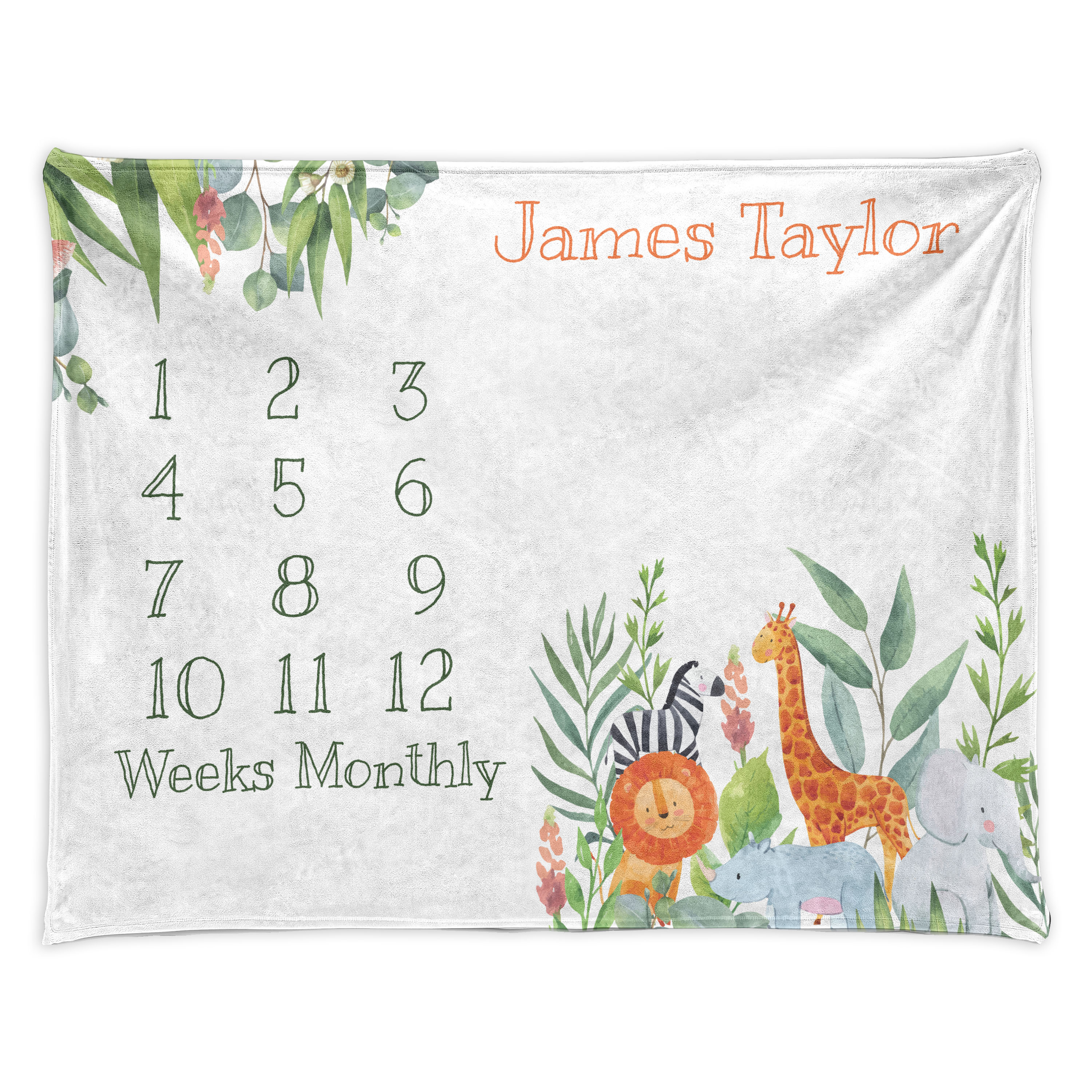 Animals Milestone Blanket, Forest Jungle Leaves Trees Branches Zebra ...