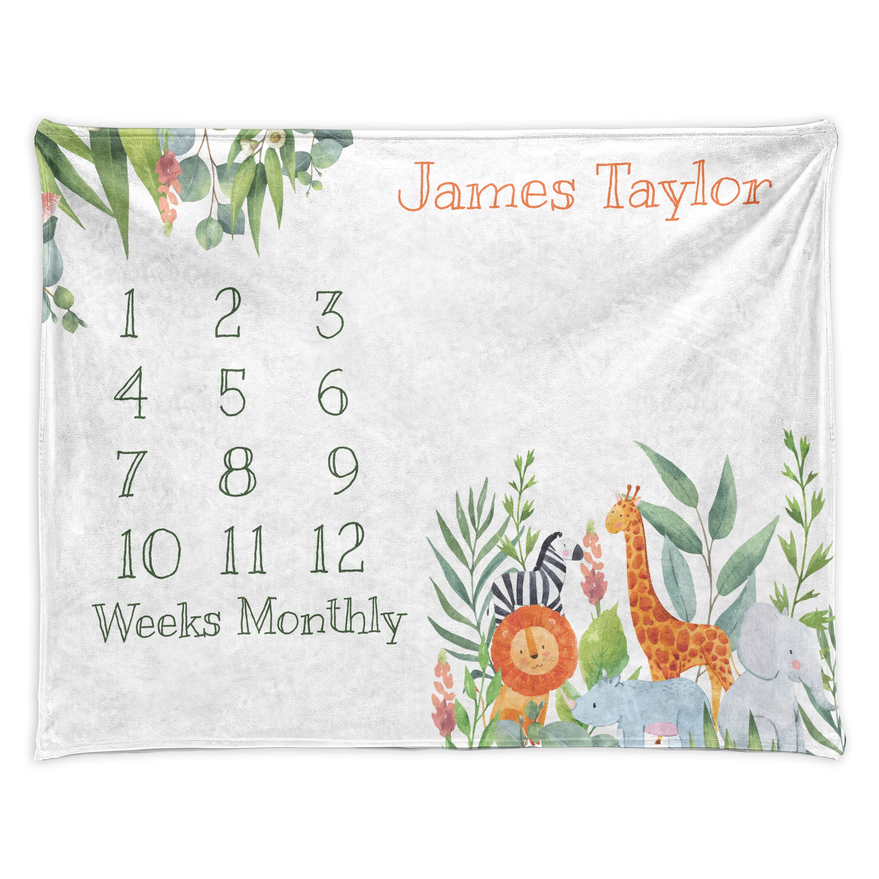 Animals Milestone Blanket, Forest Jungle Leaves Trees Branches Zebra ...