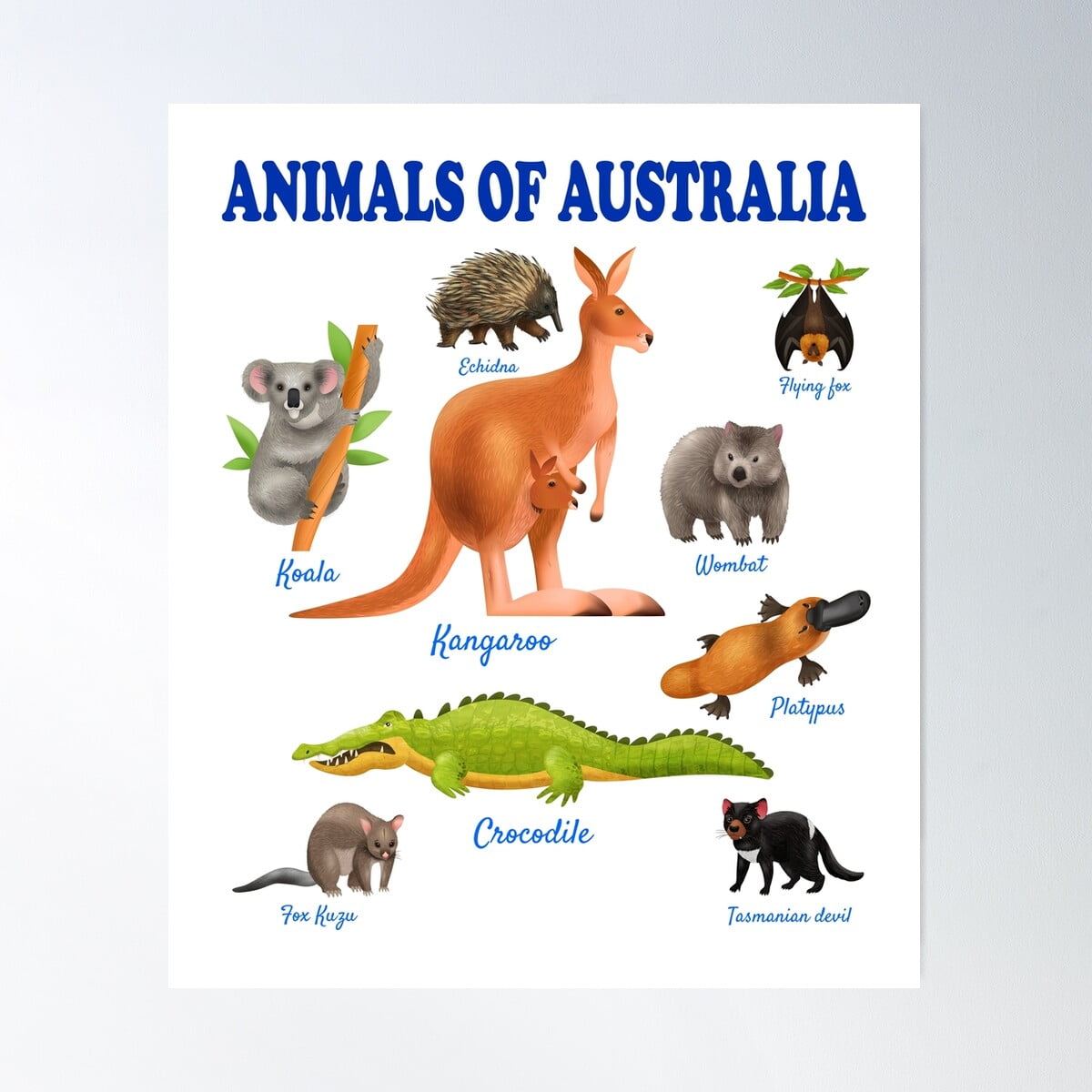 Animals Of Australia | Educational Australian Animals Poster Wall Art ...
