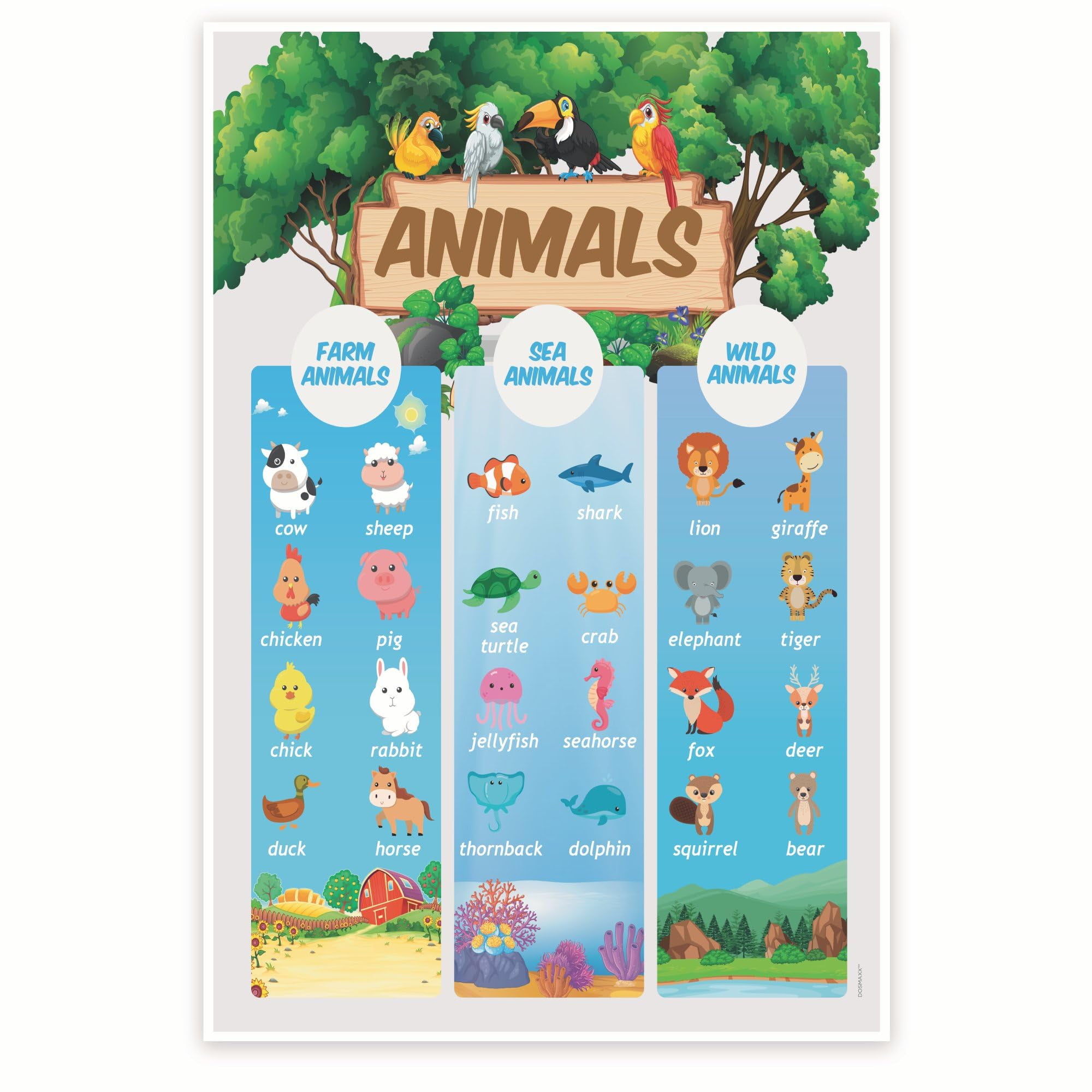 Animals Poster - Farm Animals - Sea Animals - Wild Animals - Animals ...