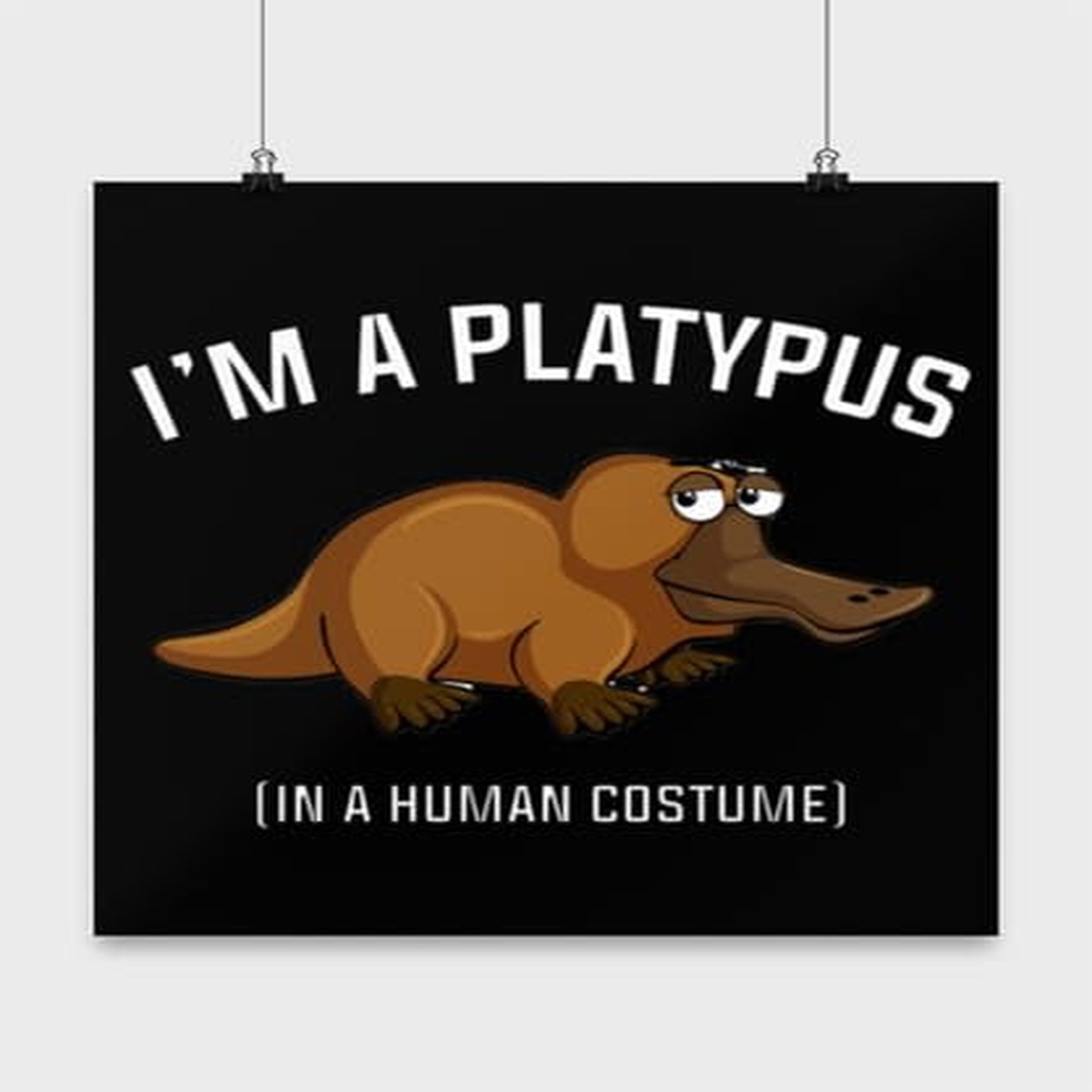 Animals Poster, I'M A Platypus In A Human Costume, Unique Wildlife Wall ...