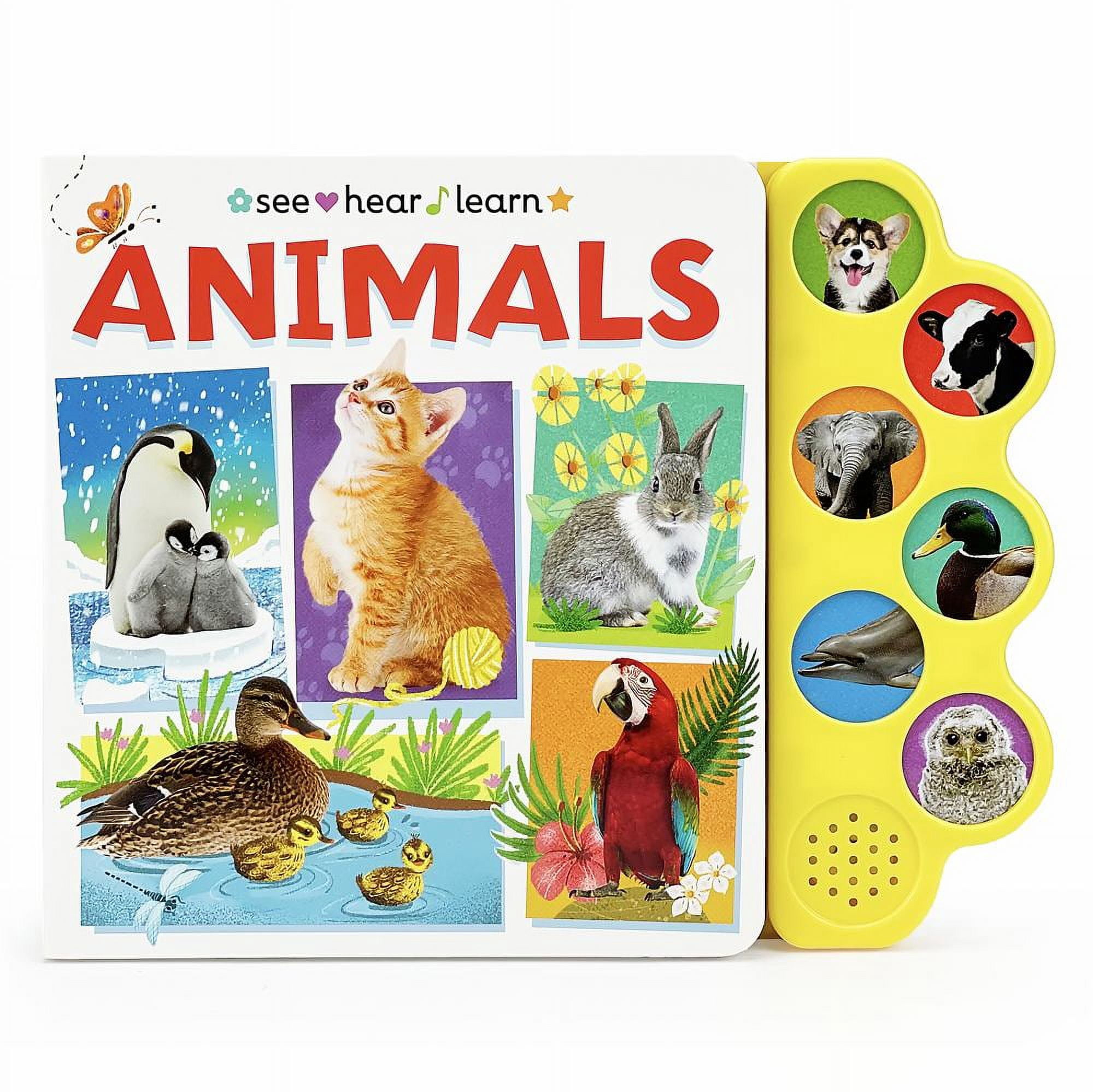 Animals (See Hear Learn) (Board Book) - Walmart.com