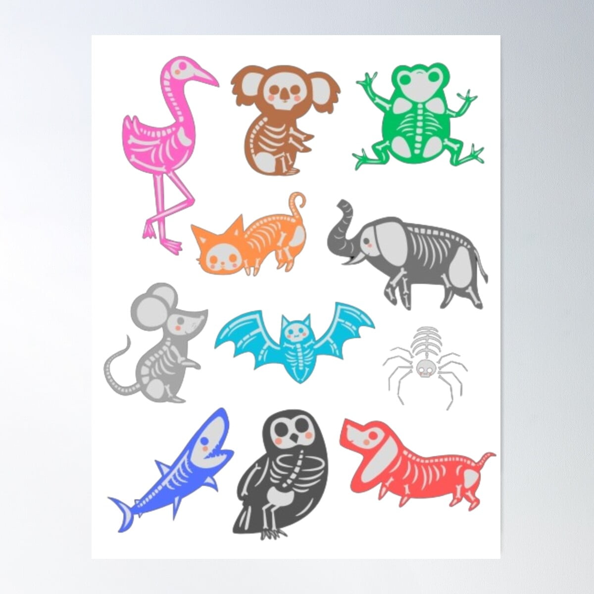 Animals Skeletons , Animals X-Ray Poster Wall Art, Modern Wall Decor ...