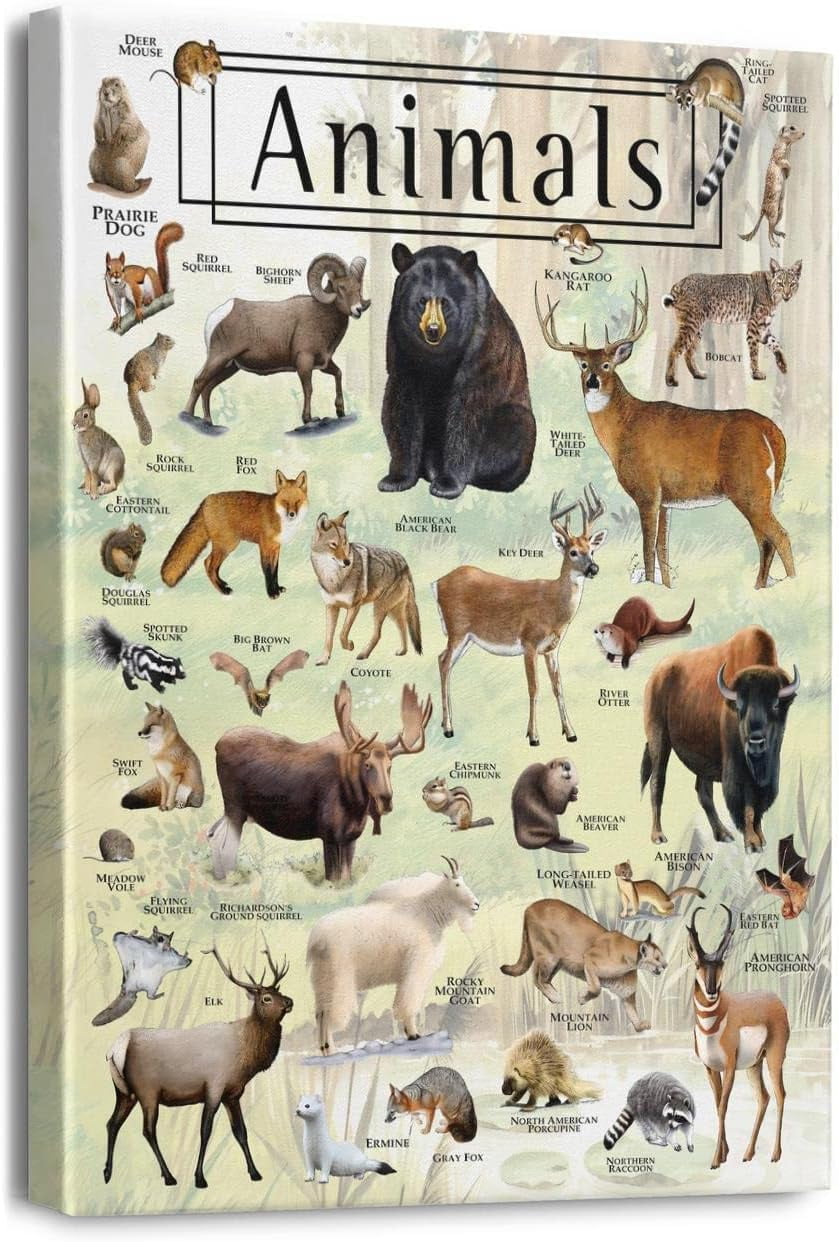 Animals Wall Art Animal Wall Decor for Living Room Home - Walmart.com