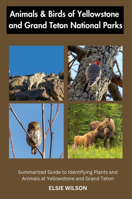 Animals and Birds of Yellowstone and Grand Teton National Parks: Guide ...