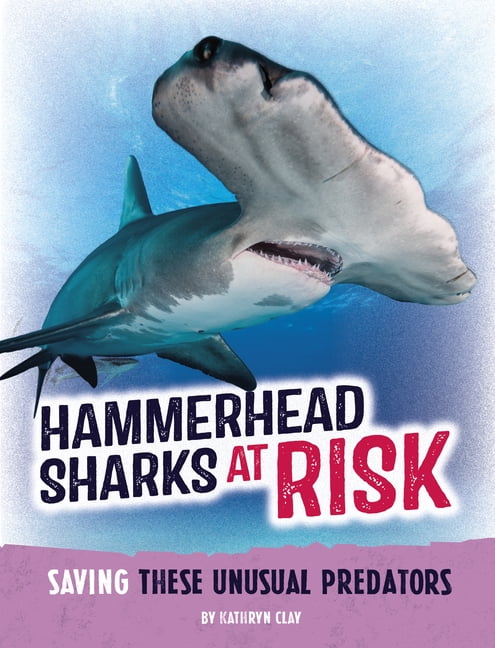 Animals at Risk Hammerhead Sharks at Risk: Saving These Unusual ...