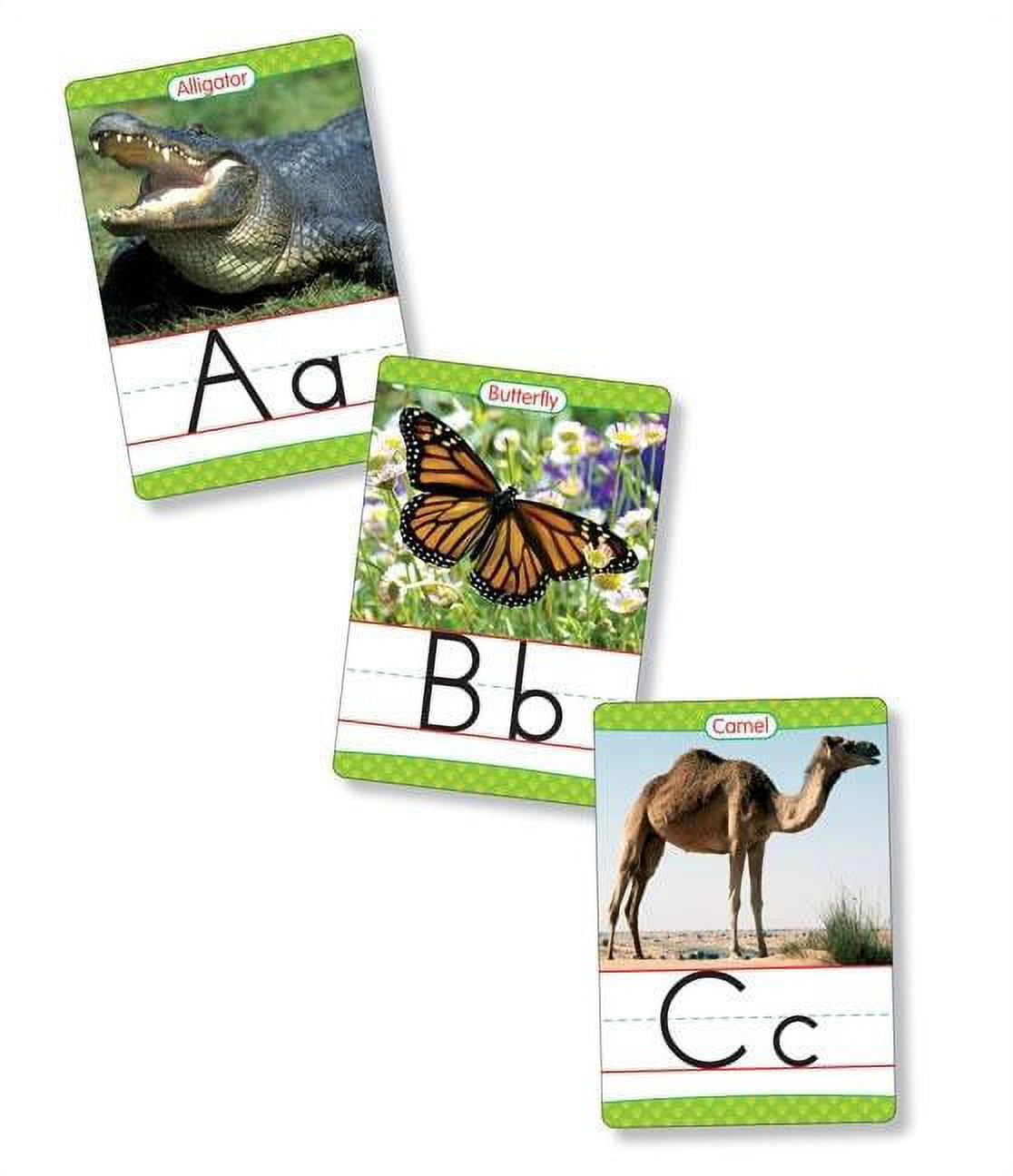 Animals from A to Z Manuscript Alphabet Set: 26 Ready-To-Display Letter ...